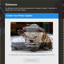 Introducing Photo Caption Contests, Now Available in Beta